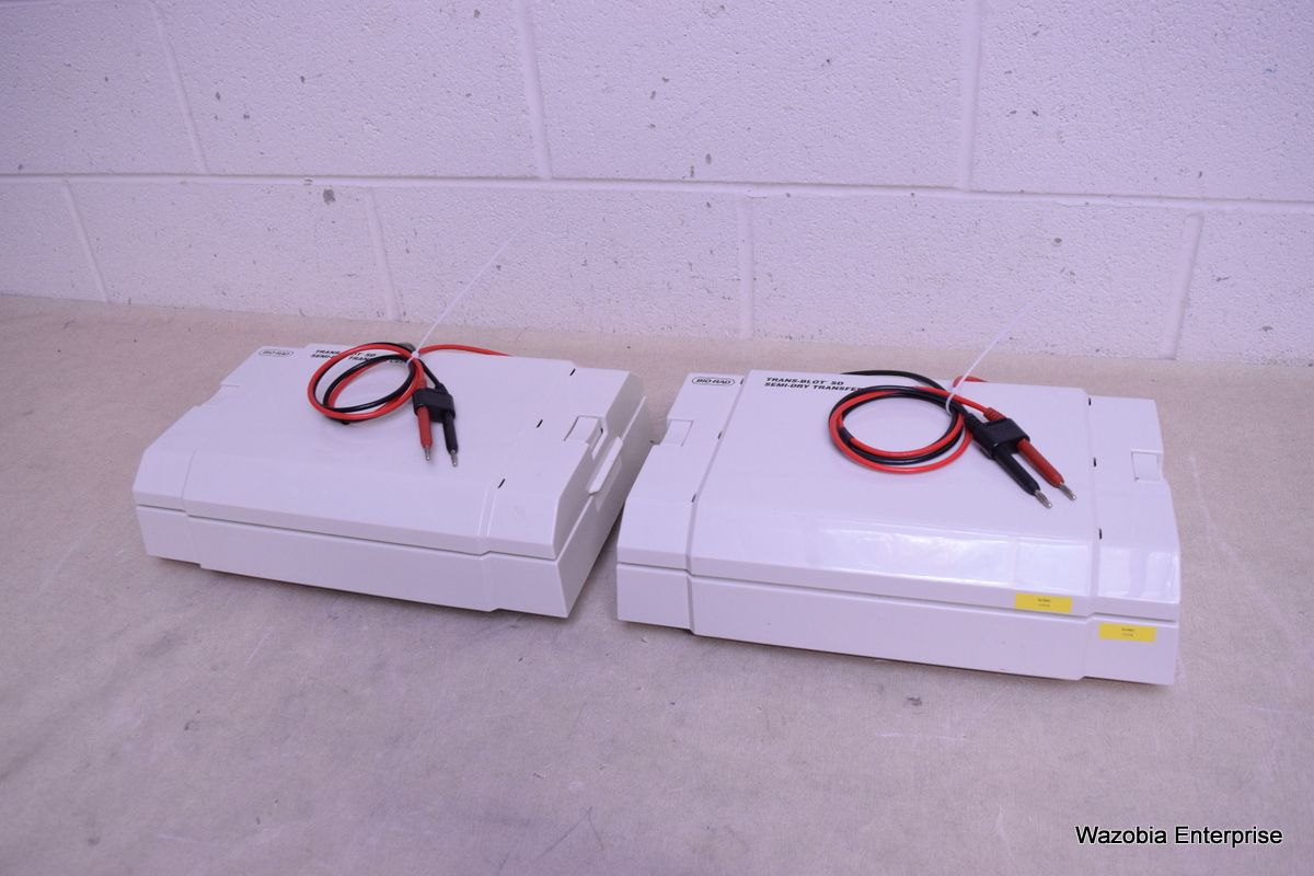 Bio rad western blot apparatus ebay - klopdisco