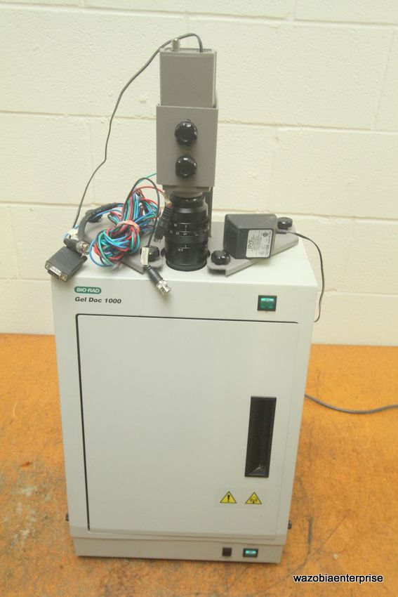 BIO-RAD GEL DOC 1000 FLUORESCENT IMAGING SYSTEM