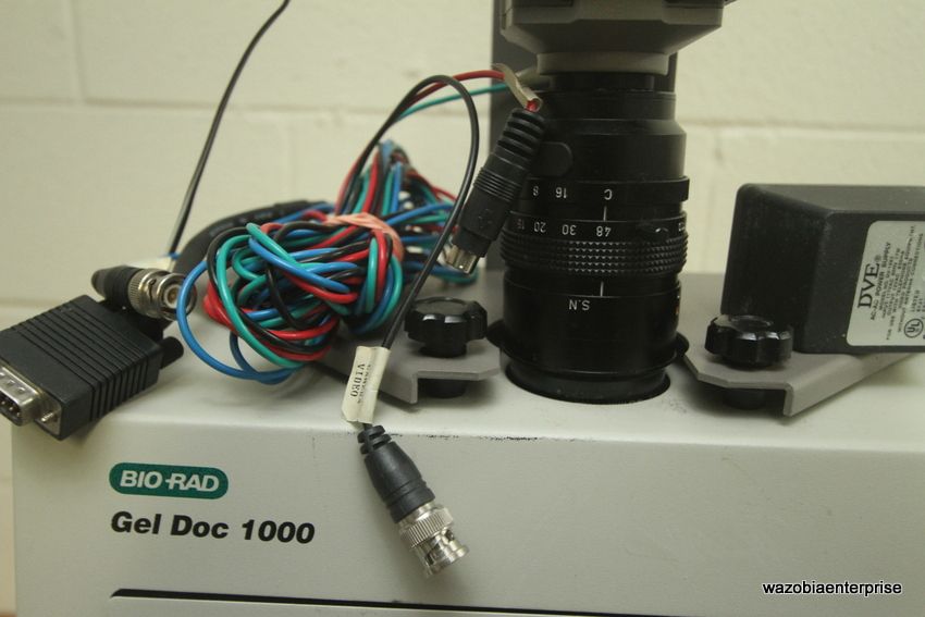 BIO-RAD GEL DOC 1000 FLUORESCENT IMAGING SYSTEM