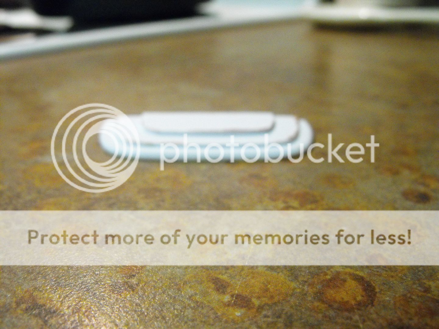 The Elkie that never was model build | Page 2 | El Camino Central Forum