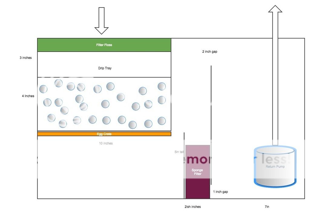 10 Gallon wet/dry filter... | Reef2Reef